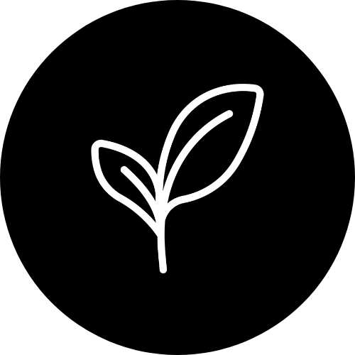 Sustainability - Alpinter